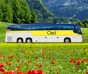 Oad.nl - Busreizen, Disneyland Parijs, Dagje uit