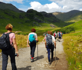 Oad.nl - Busreizen, Disneyland, Rondreizen of Wintersport